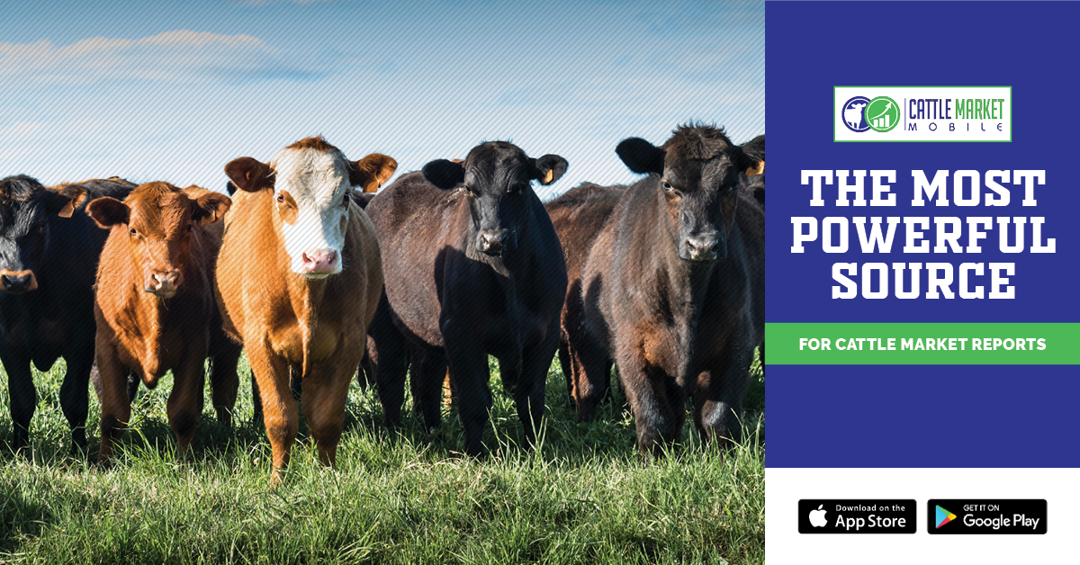 Futures Prices - Feeder Cattle, Live Cattle, Lean Hogs, Pork Cutout ...